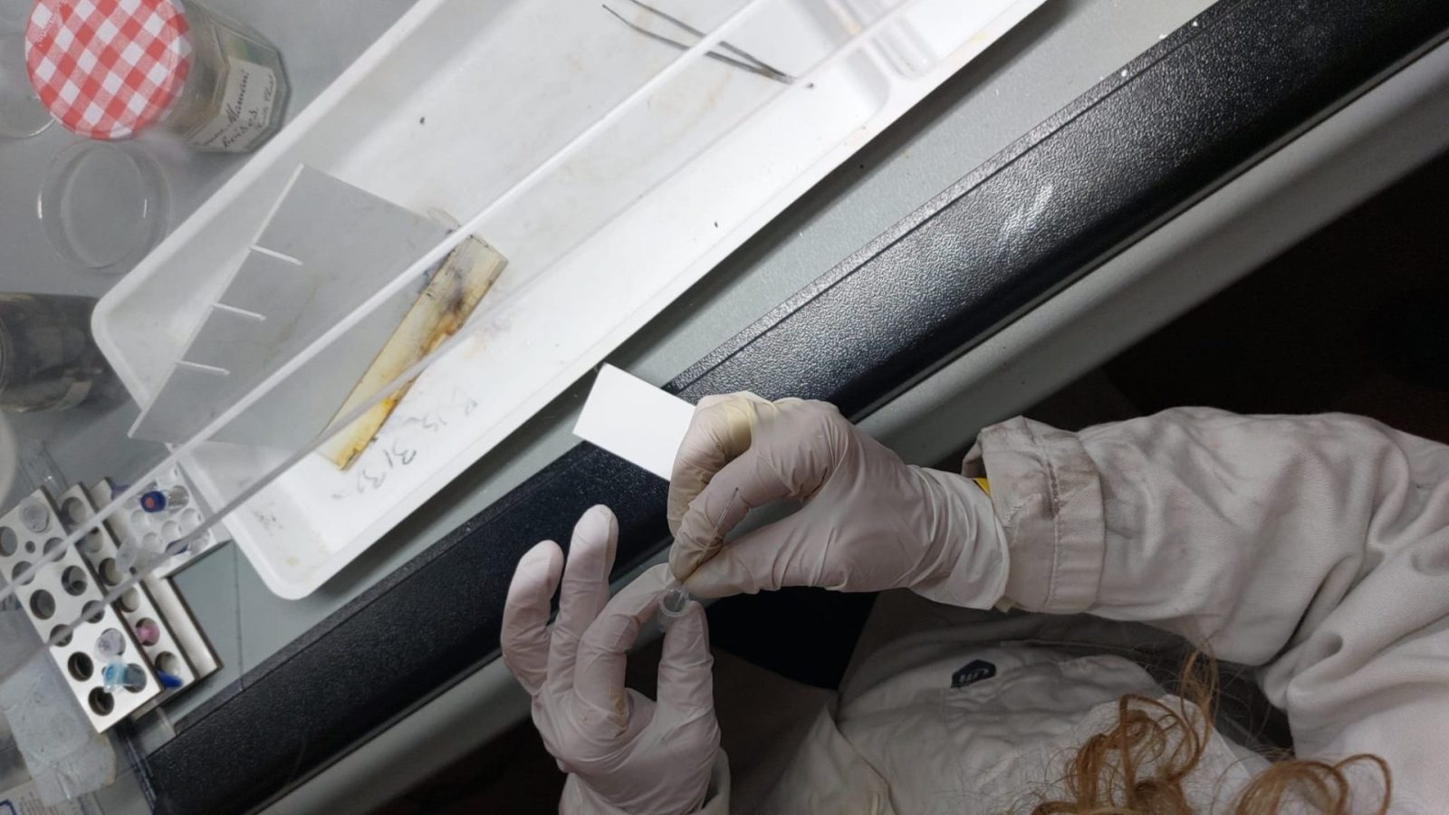 La cocaïne, c'est quoi ? - KEPS